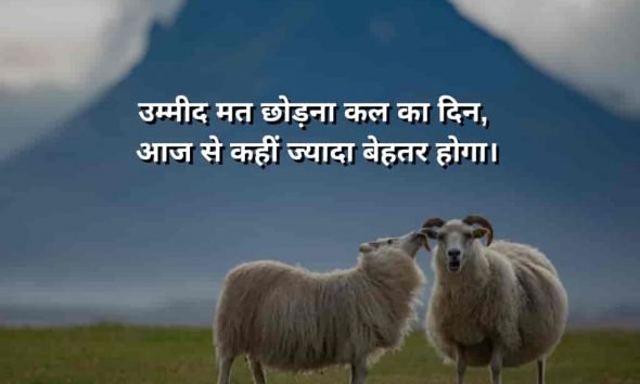 Top Famous Deep Shayari in Hindi | Shayari on Life | Agreewords