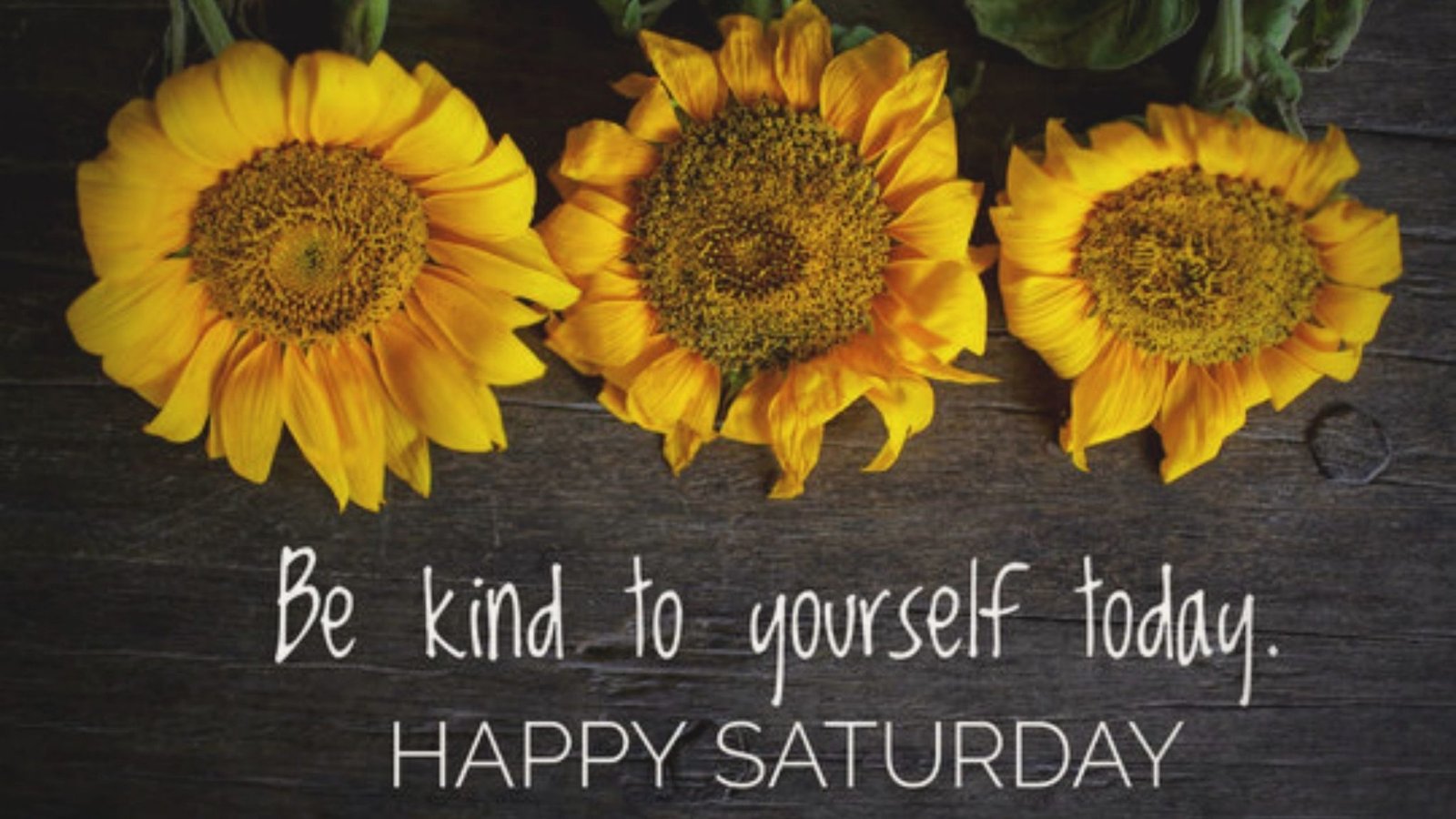 70+ Wonderful Saturday Captions For Instagram » Agree words