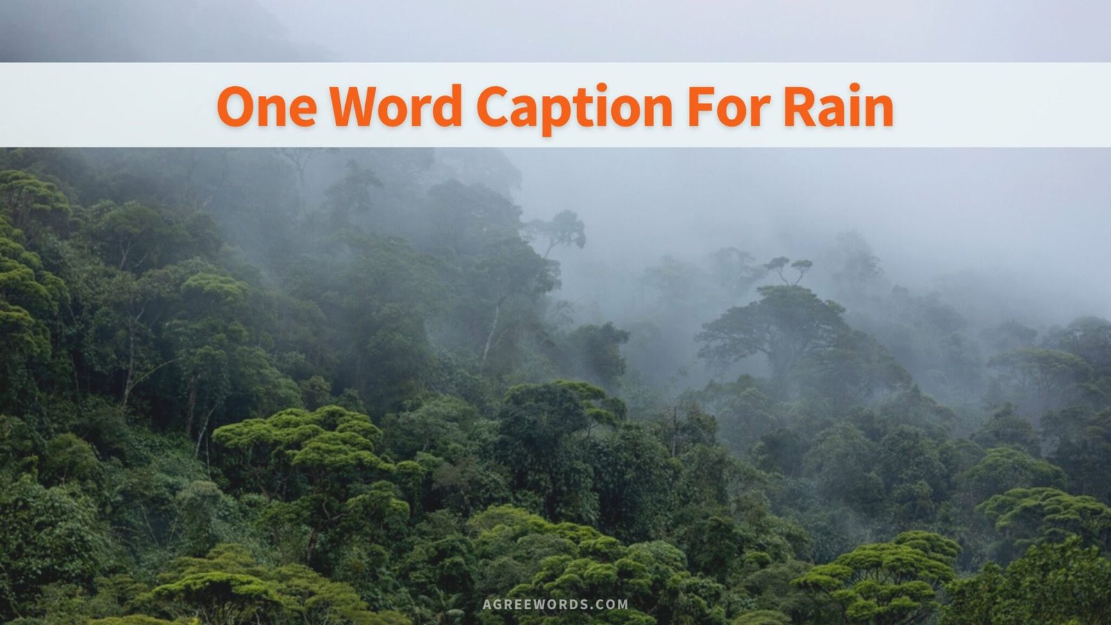70+ Perfect Rain Captions for Instagram | Monsoon Captions 2025