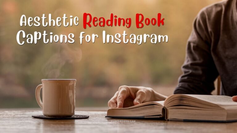 80+ Aesthetic Reading Book Captions for Instagram » Agree words