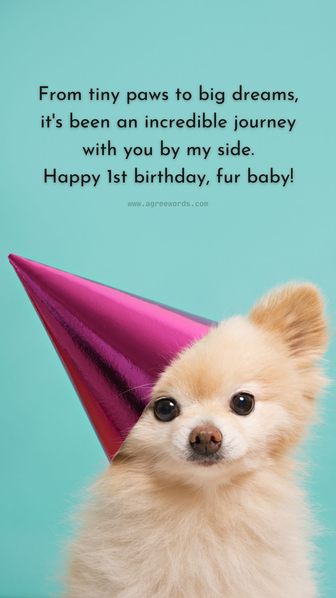 80+ Dog Birthday Captions and Quotes for Instagram » Agree words
