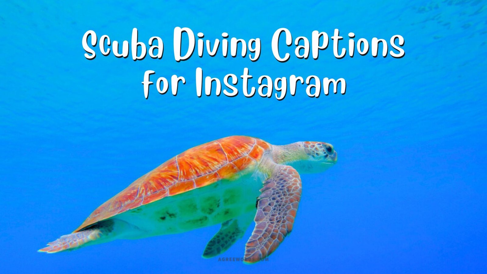 Catchy Scuba Diving Captions That Will Make You Go Viral » Agree words
