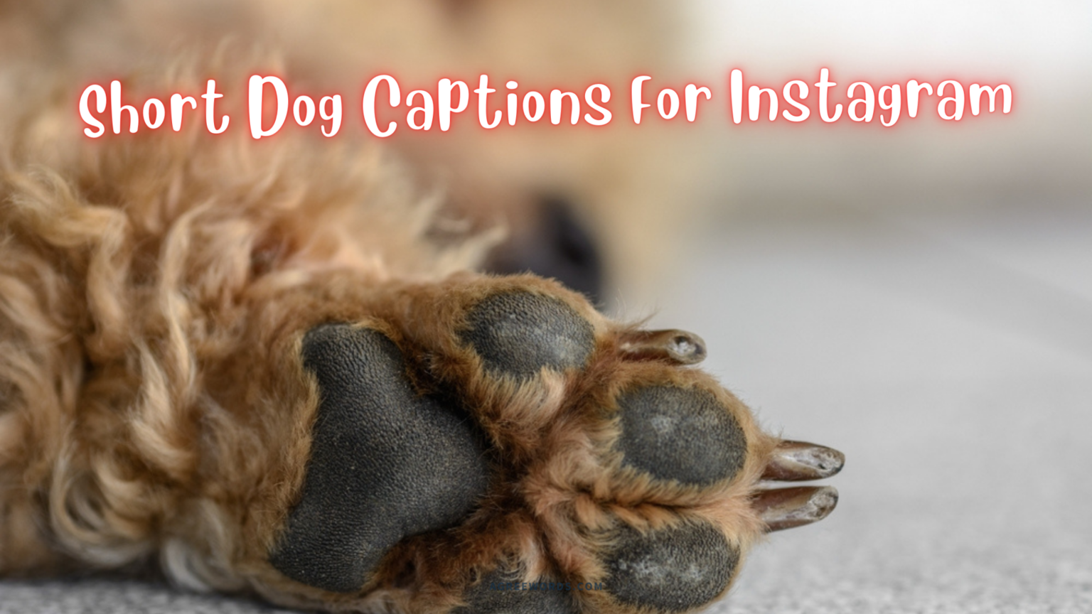 80+ Aesthetic Reading Book Captions for Instagram » Agree words